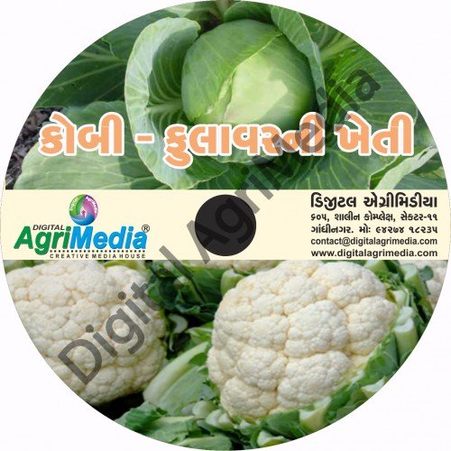 Amazon.in: Buy Kobi-Fulevar ni kheti (Scientific cultivation of Cabbage ...