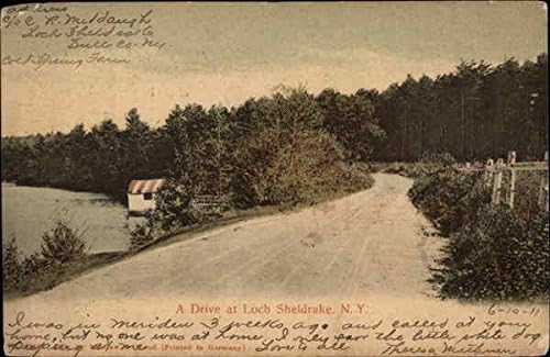 A Drive Loch Sheldrake, New York NY Original Antique Postcard 1911 at ...