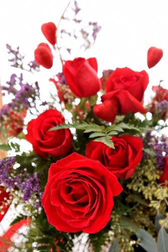 Doctor's Choice eBook : Baker, Gaynor: Amazon.in: Kindle Store