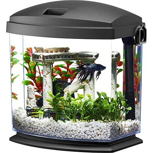 Aqueon Betta Falls Tank: A Detailed Overview - Animals Log