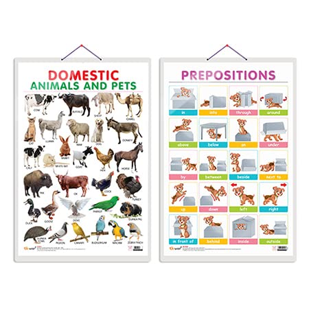 GO WOO Combo of 2 Domestic Animals and Pets and PREPOSITIONS ...