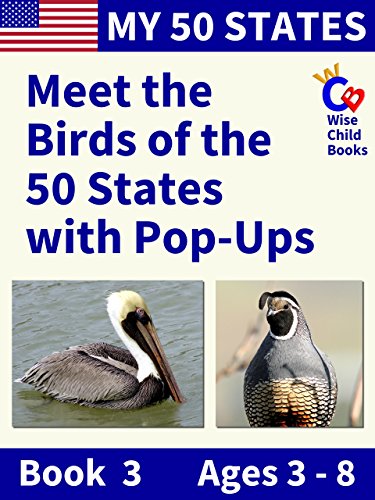My 50 States - Book 3: Meet the Birds of the 50 States with Pop-Ups ...