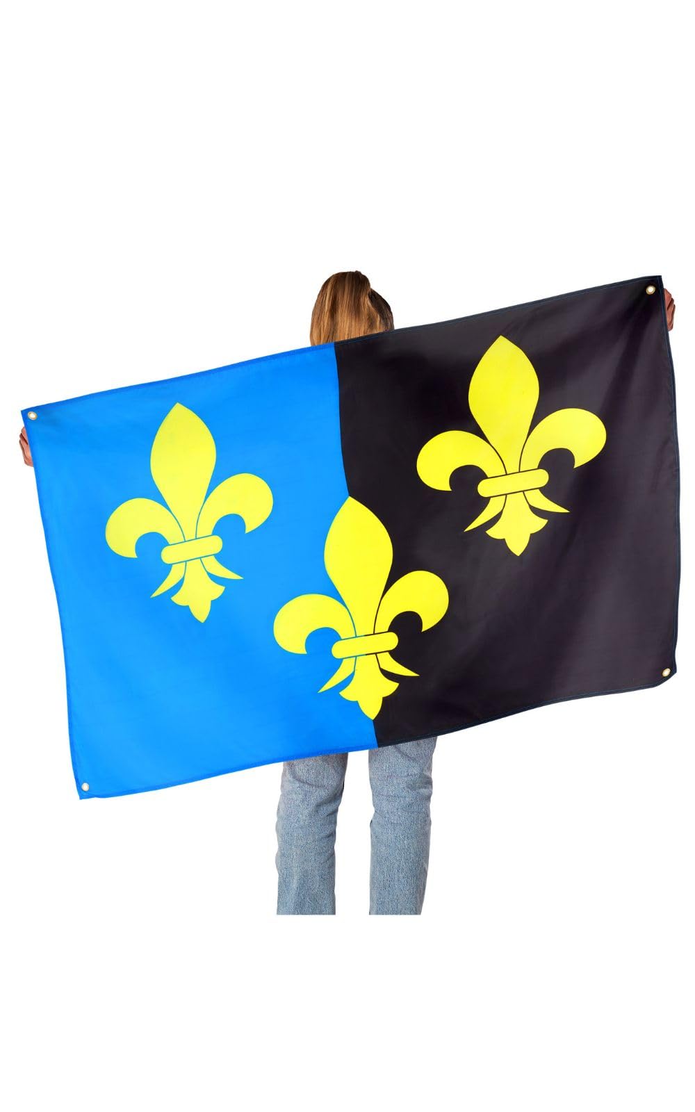 Runesol Monmouthshire Flag, 91x152cm, 3ft x 5ft, 4 Grommets, Eyelet In ...