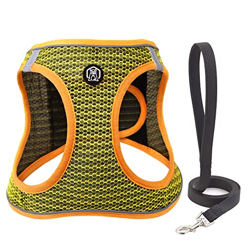 Rei Dog Harness – The 15 best products compared - Wild Explained