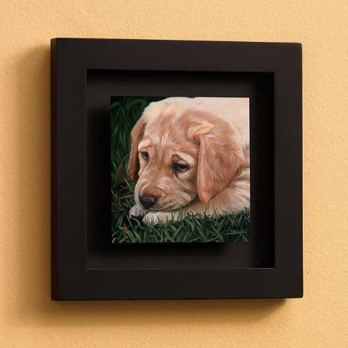 Don't Bug Me Yellow Lab Puppy & Ladybug Shadowbox by Larry Beckstein ...