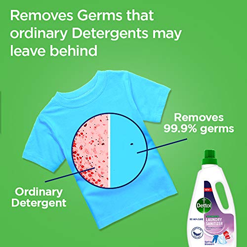Dettol Liquid Disinfectant for Multi-Purpose Germ Protection, Menthol ...