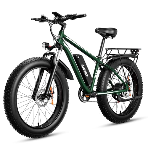 10 Best Fat Tire Ebikes of 2024: Top Picks for All-Terrain Adventures