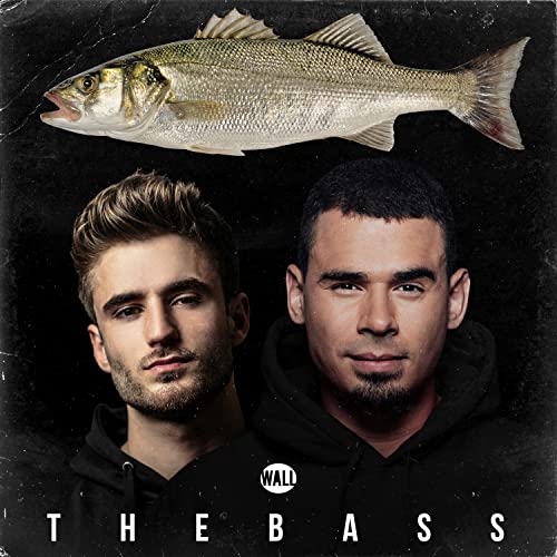 Play The Bass by Chico Rose & Afrojack on Amazon Music