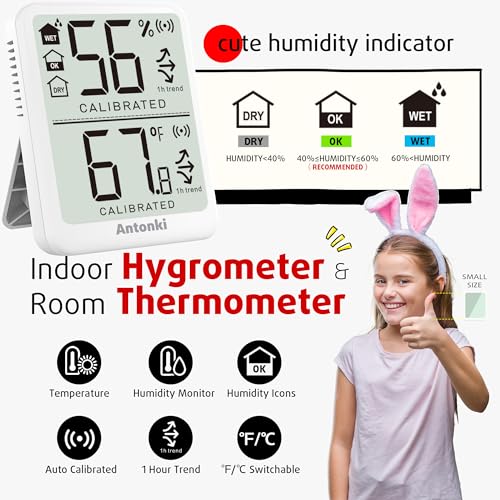 Snapklik.com : Antonki Room Thermometer Small Hygrometer Indoor, Home ...