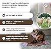 Organic Australian Sheep Wool Queen Size Reversible Mattress Topper ...