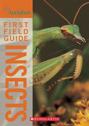 Audubon First Field Guide: Insects: Scholastic Inc: 9780545996914 ...