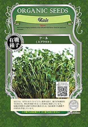 Amazon.co.jp: Kale/Organic Seed Fixed Seeds/Green Field/Sprout [Sachet ...