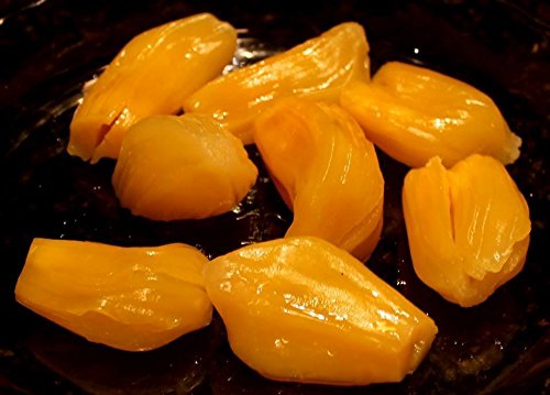 Keralas Dwarf Rare" THEN VARIKKA" Variety Jackfruit (Grafted) Live ...