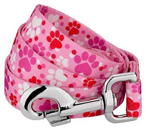 Valentine's Day Dog Leashes