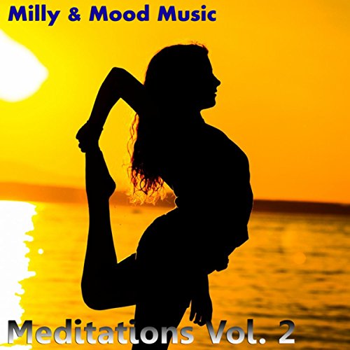 Amazon.com: Meditations Vol. 2 : Milly & Mood Music: Digital Music