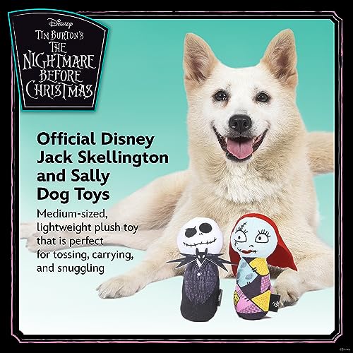 Snapklik.com : Disney For Pets Tim Burtons Nightmare Before Christmas ...