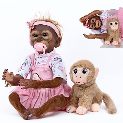 Spielzeug Affe – Die 16 besten Produkte im Vergleich - HundeINFOPortal