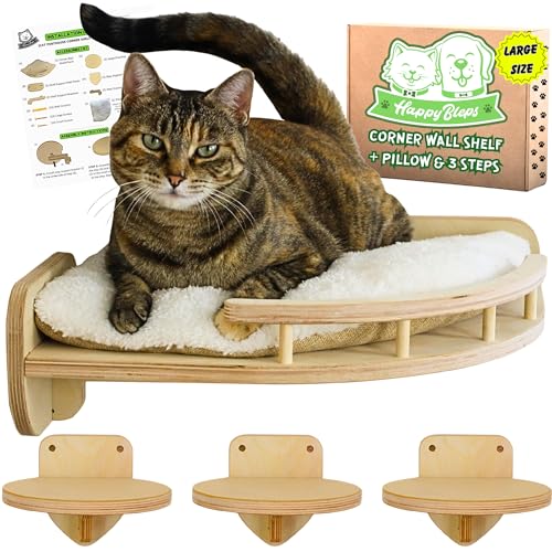 Cat Wall Furniture – The 15 best products compared - Wild Explained