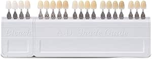 Amazon.com: 20 Color Dental Shade Guide Denture Tooth Whitening Chart ...