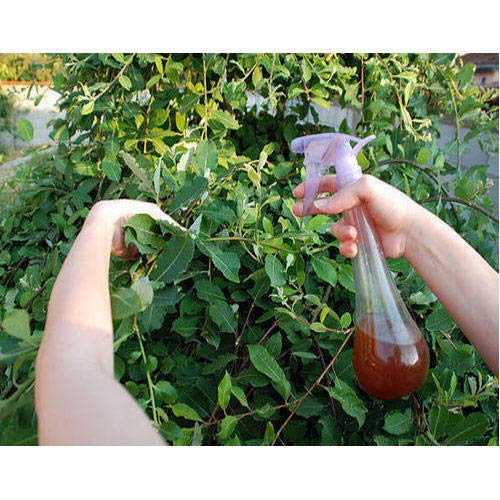 Vermiwash 100% Pure Organic And More Concentrated. Useful for all types ...