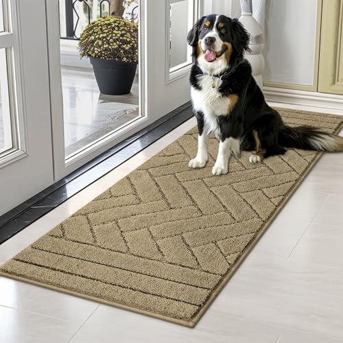 10 Best Mud Rugs For Dogs