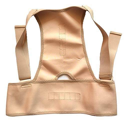Adjustable Royal Posture Back Support Brace Corrects Slouching and ...