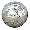 Amazon.com: 12 Inch Stainless Steel Gazing Globe,v2croft Hollow Ball ...
