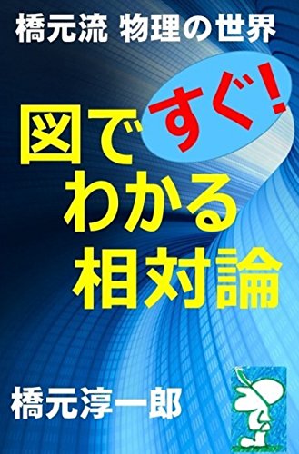 RELATIVITY with FIGURES HASHIMOTORYU BUTURINOSEKAI (Japanese Edition ...