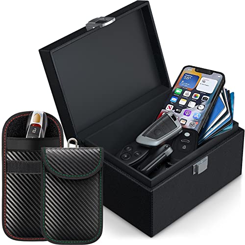 Best Faraday Boxes – Best Cost