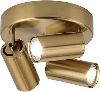 3-Light Ceiling Spotlight Fixture Indoor Round Ceiling Spot Lighting ...