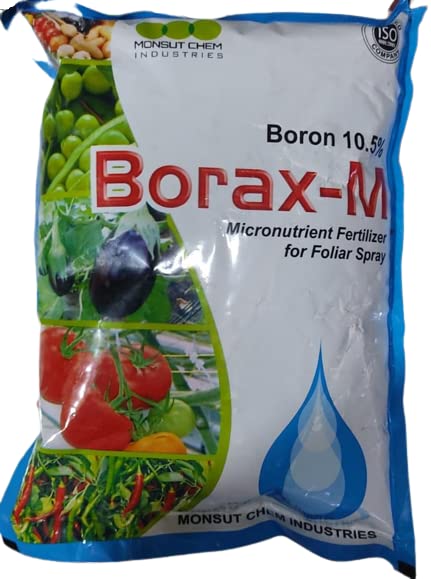 BORAX -M VEGETABLE GROWTH PRODUCT X2 COMBO : Amazon.in: Garden & Outdoors
