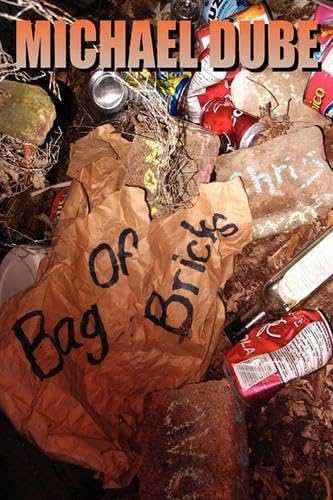 Amazon.com: Bag of Bricks: 9781926582702: Dube, Michael: Books