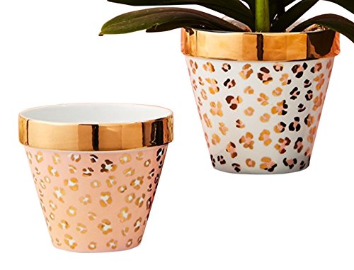 Two's Company 51600 Set of 2 Leopard Print Planters : Amazon.in: Home ...