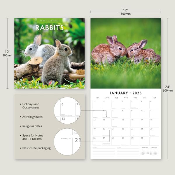 Rabbits – 2025 Square Wall Calendar – by Red Robin Publishing – BigaMart