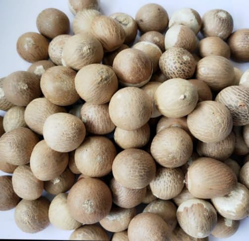 Pooja Supari/Whole Supari/Khadi Supari/Betal Nut/Pan Supari 100 Gm ...