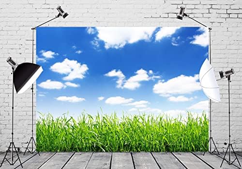 Amazon.com : BELECO 5x3ft Fabric Blue Sky Spring Meadow Backdrop Green ...