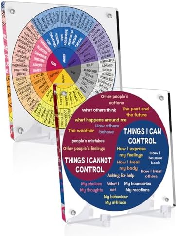 Amazon.com : 2 Pieces Acrylic Feelings Wheel & Needs Wheels Emotions ...