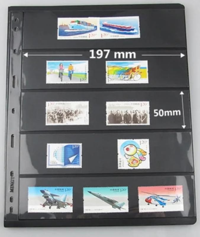 Double Sided Note Sheets (2 Vertical Grid) : Amazon.in: Office Products