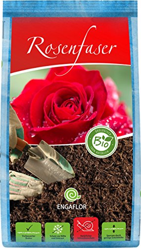 Die 16 besten Rosenmulche - Ratgeber für Handwerker