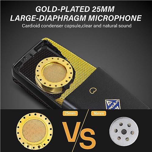 Snapklik.com : PROAR XLR Podcast Microphone Professional Cardioid ...