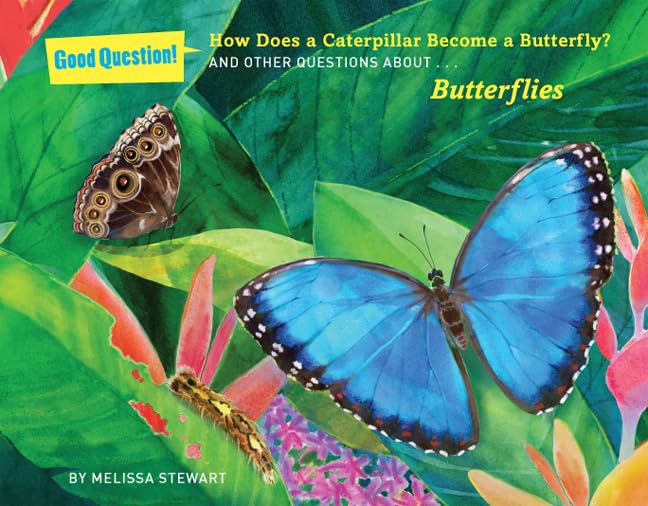 How Does a Caterpillar Become a Butterfly?: And Other Questions About ...