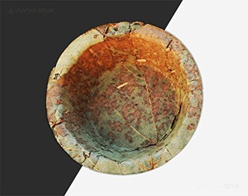 Amazon.com: globalproductsofindianorigin set of 99 peepal tree leaf ...