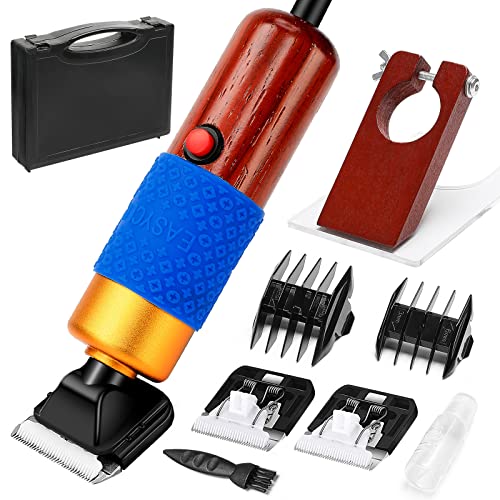 Amazon.com New Releases: The best-selling new & future releases in Rug ...