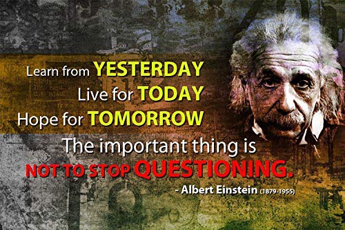 Albert Einstein Motivational Quotes 12 x 18 Wall Poster : Amazon.in ...