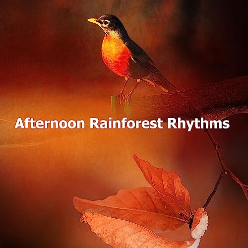 Reproducir Afternoon Rainforest Rhythms de Rain Forest en Amazon Music