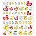 Hobby Design Sticker * Quitsche Ente Enten * Aufkleber 3452344: Amazon ...