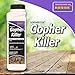 Amazon.com : Bonide Gophertox Gopher Killer, 1 lb. Ready-to-Use Poison ...
