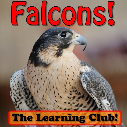 Falcons! Learn About Falcons And Learn To Read - The Learning Club! (45 ...