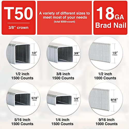 Buying Guide | SHALL Heavy Duty T50 Staples and 18GA Brad Nails Combo ...