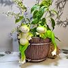 ELI Frog Figurines Set of 2, Resin Garden Decor for Planters & Fairy ...